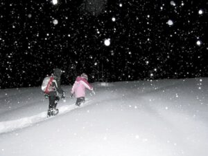 Moonlight Snowshoe Walk — Wetland Discovery Centre at Oak Hammock Marsh
